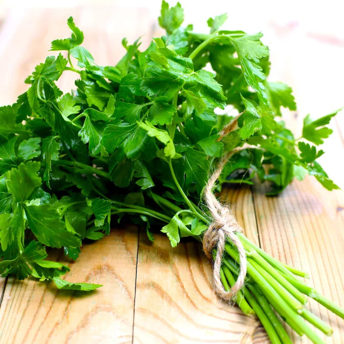 How to Grow Parsley: A Comprehensive Gardening Guide – Survival Seeds